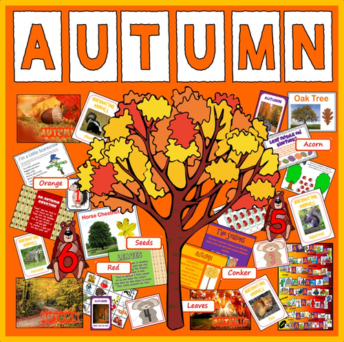 AUTUMN TEACHING RESOURCES SCIENCE ANIMALS EYFS KS1-2 SEASON WEATHER ...