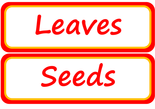 AUTUMN TEACHING RESOURCES SCIENCE ANIMALS EYFS KS1-2 SEASON WEATHER ...