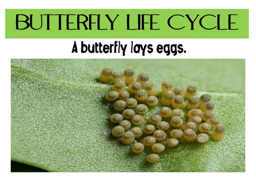 SPRING WEATHER TEACHING RESOURCES EYFS KS 1-2 SEASON | Teaching Resources