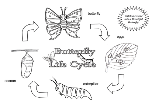 SPRING WEATHER TEACHING RESOURCES EYFS KS 1-2 SEASON | Teaching Resources