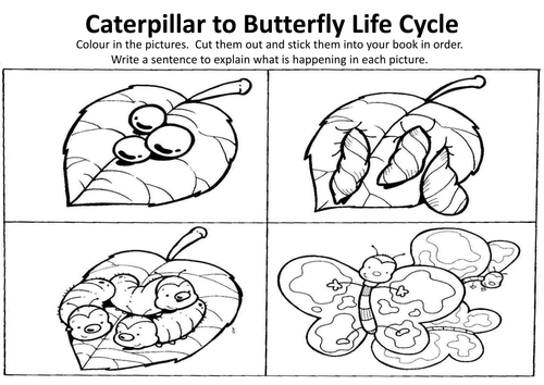 SPRING WEATHER TEACHING RESOURCES EYFS KS 1-2 SEASON | Teaching Resources