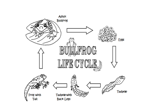 SPRING WEATHER TEACHING RESOURCES EYFS KS 1-2 SEASON | Teaching Resources