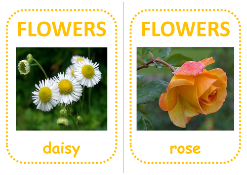 SUMMER TEACHING RESOURCES KS1-2 EYFS SCIENCE SEASONS WEATHER | Teaching ...