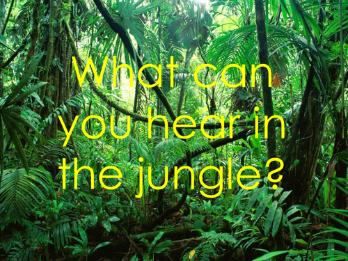 Jungle animal sounds guessing | Teaching Resources