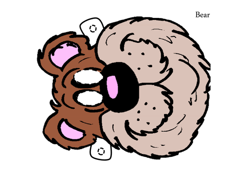 BEARS TEACHING RESOURCES SCIENCE ANIMALS EYFS KS 1-2 ROLE PLAY LITERACY ...