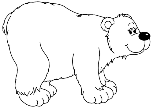 BEARS TEACHING RESOURCES SCIENCE ANIMALS EYFS KS 1-2 ROLE PLAY LITERACY ...