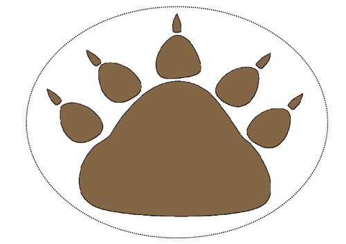 BEARS TEACHING RESOURCES SCIENCE ANIMALS EYFS KS 1-2 ROLE PLAY LITERACY ...