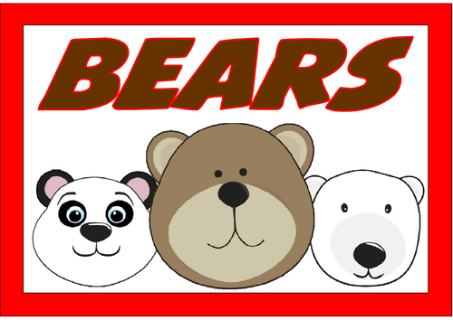 BEARS TEACHING RESOURCES SCIENCE ANIMALS EYFS KS 1-2 ROLE PLAY LITERACY ...