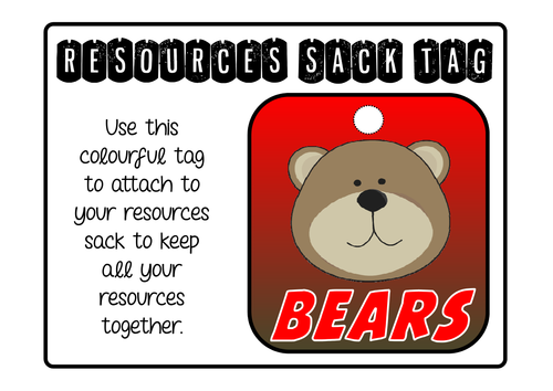 BEARS TEACHING RESOURCES SCIENCE ANIMALS EYFS KS 1-2 ROLE PLAY LITERACY ...