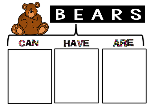 BEARS TEACHING RESOURCES SCIENCE ANIMALS EYFS KS 1-2 ROLE PLAY LITERACY ...