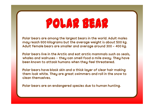 BEARS TEACHING RESOURCES SCIENCE ANIMALS EYFS KS 1-2 ROLE PLAY LITERACY ...