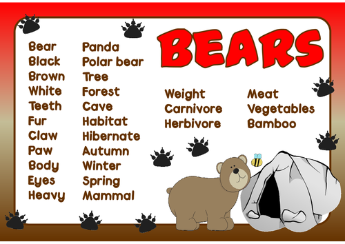 BEARS TEACHING RESOURCES SCIENCE ANIMALS EYFS KS 1-2 ROLE PLAY LITERACY ...