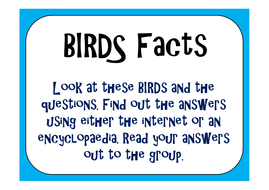 BIRDS RESOURCES LITERACY SCIENCE EYFS, KS 1-2 ANIMALS OWLS ROLE PLAY ...