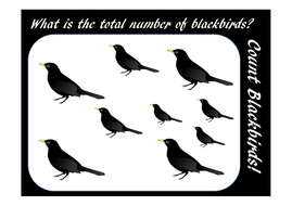 BIRDS RESOURCES LITERACY SCIENCE EYFS, KS 1-2 ANIMALS OWLS ROLE PLAY ...