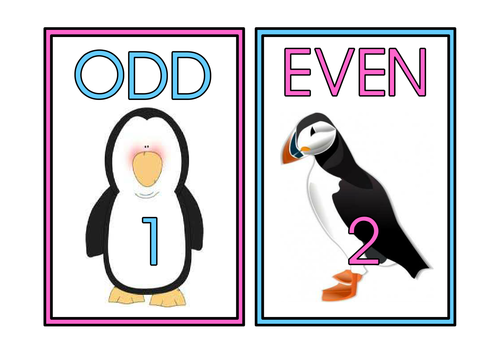 BIRDS RESOURCES LITERACY SCIENCE EYFS, KS 1-2 ANIMALS OWLS ROLE PLAY ...