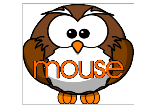 BIRDS RESOURCES LITERACY SCIENCE EYFS, KS 1-2 ANIMALS OWLS ROLE PLAY ...