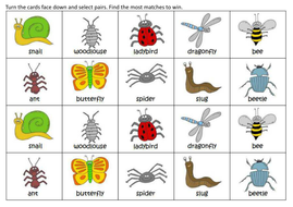 MINIBEASTS INSECTS SCIENCE RESOURCES EARLY YEARS KS1-2 DISPLAY ANIMALS ...