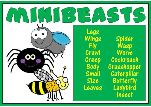 MINIBEASTS INSECTS SCIENCE RESOURCES EARLY YEARS KS1-2 DISPLAY ANIMALS ...