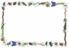 MINIBEASTS INSECTS SCIENCE RESOURCES EARLY YEARS KS1-2 DISPLAY ANIMALS ...