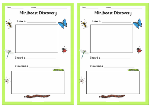 MINIBEASTS INSECTS SCIENCE RESOURCES EARLY YEARS KS1-2 DISPLAY ANIMALS ...