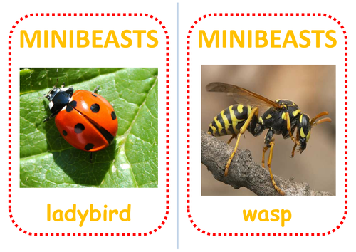 MINIBEASTS INSECTS SCIENCE RESOURCES EARLY YEARS KS1-2 DISPLAY ANIMALS ...