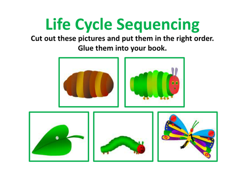 MINIBEASTS INSECTS SCIENCE RESOURCES EARLY YEARS KS1-2 DISPLAY ANIMALS ...