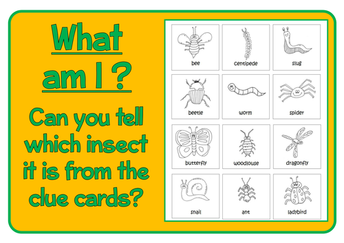 MINIBEASTS INSECTS SCIENCE RESOURCES EARLY YEARS KS1-2 DISPLAY ANIMALS ...