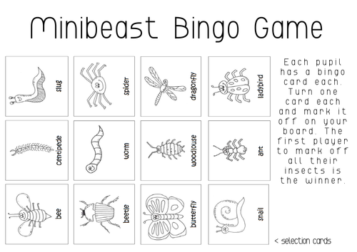 MINIBEASTS INSECTS SCIENCE RESOURCES EARLY YEARS KS1-2 DISPLAY ANIMALS ...