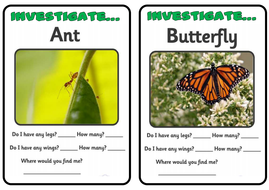 MINIBEASTS INSECTS SCIENCE RESOURCES EARLY YEARS KS1-2 DISPLAY ANIMALS ...