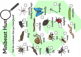 MINIBEASTS INSECTS SCIENCE RESOURCES EARLY YEARS KS1-2 DISPLAY ANIMALS ...