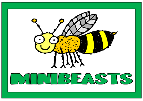 MINIBEASTS INSECTS SCIENCE RESOURCES EARLY YEARS KS1-2 DISPLAY ANIMALS ...