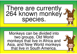 MONKEYS PRIMATES TEACHING RESOURCES KEY STAGE 1-2 SCIENCE DISPLAY ...