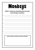 MONKEYS PRIMATES TEACHING RESOURCES KEY STAGE 1-2 SCIENCE DISPLAY ...