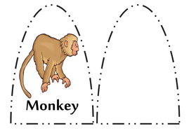 MONKEYS PRIMATES TEACHING RESOURCES KEY STAGE 1-2 SCIENCE DISPLAY ...