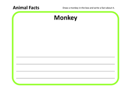 MONKEYS PRIMATES TEACHING RESOURCES KEY STAGE 1-2 SCIENCE DISPLAY ...