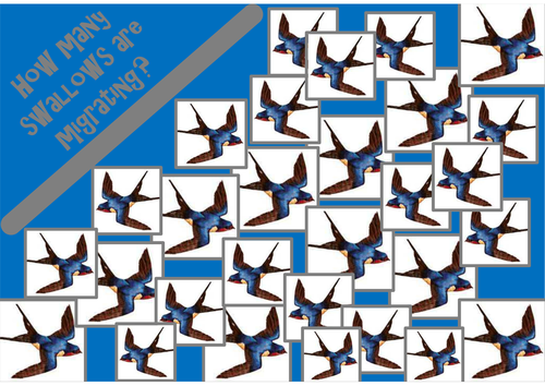 NOCTURNAL ANIMALS TEACHING RESOURCES DISPLAY SCIENCE HIBERNATION KS 1-2 ...