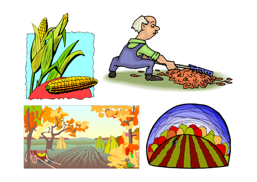 FARM TEACHING RESOURCES ANIMALS FRUIT VEGETABLES SHOP ROLE PLAY ...