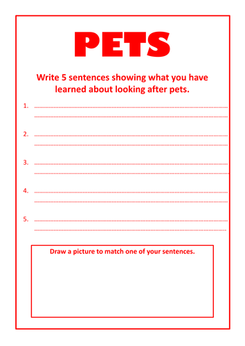 PET SHOP ROLE PLAY TEACHING RESOURCES EYFS KS 1-2 SCIENCE ANIMALS FACE ...