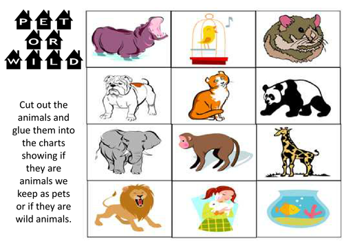 PET SHOP ROLE PLAY TEACHING RESOURCES EYFS KS 1-2 SCIENCE ANIMALS FACE ...