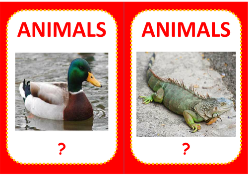 PET SHOP ROLE PLAY TEACHING RESOURCES EYFS KS 1-2 SCIENCE ANIMALS FACE ...