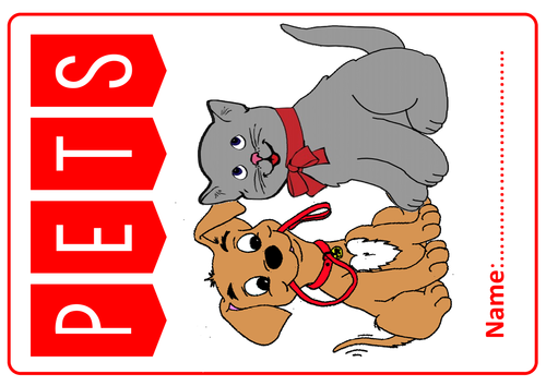 PET SHOP ROLE PLAY TEACHING RESOURCES EYFS KS 1-2 SCIENCE ANIMALS FACE ...