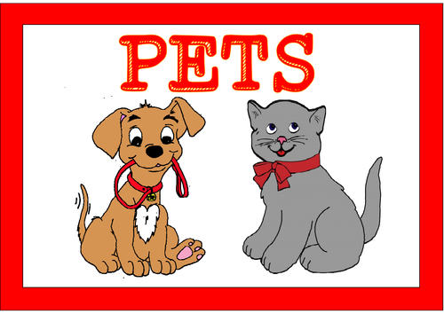 PET SHOP ROLE PLAY TEACHING RESOURCES EYFS KS 1-2 SCIENCE ANIMALS FACE ...