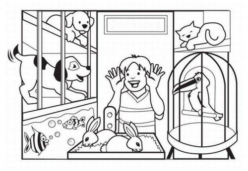 PET SHOP ROLE PLAY TEACHING RESOURCES EYFS KS 1-2 SCIENCE ANIMALS FACE ...