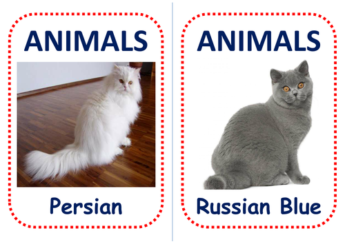 PET SHOP ROLE PLAY TEACHING RESOURCES EYFS KS 1-2 SCIENCE ANIMALS FACE ...