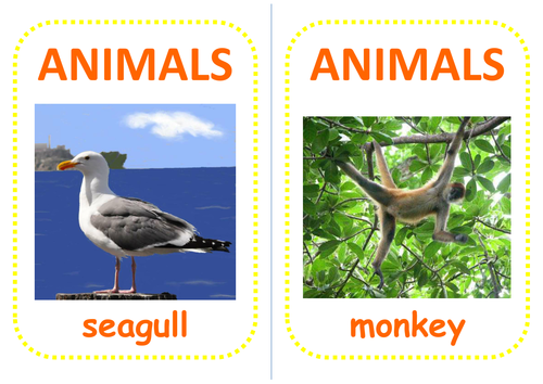 WORLD ANIMALS AFRICA USA AUSTRALIA TEACHING RESOURCES DISPLAY SCIENCE ...