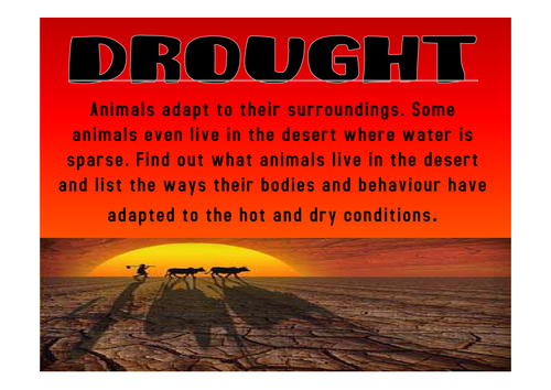 WORLD ANIMALS AFRICA USA AUSTRALIA TEACHING RESOURCES DISPLAY SCIENCE ...