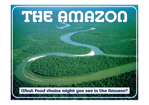 WORLD ANIMALS AFRICA USA AUSTRALIA TEACHING RESOURCES DISPLAY SCIENCE ...