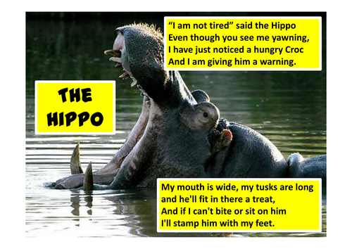 WORLD ANIMALS AFRICA USA AUSTRALIA TEACHING RESOURCES DISPLAY SCIENCE ...