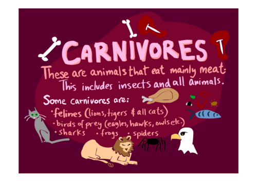 WORLD ANIMALS AFRICA USA AUSTRALIA TEACHING RESOURCES DISPLAY SCIENCE ...