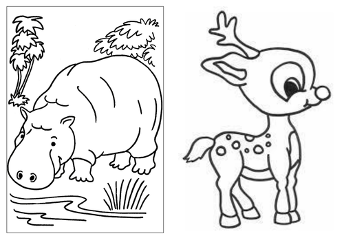 WORLD ANIMALS AFRICA USA AUSTRALIA TEACHING RESOURCES DISPLAY SCIENCE ...